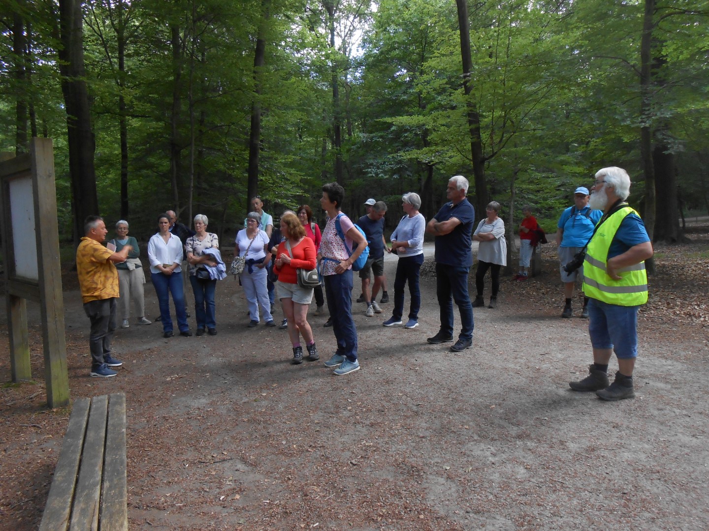 Pasar Zomert in Buggenhout: indrukwekkend Buggenhout-bos | Pasar