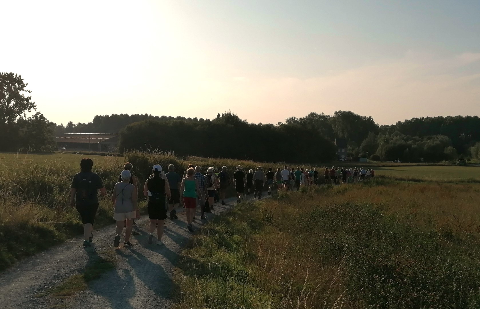 Pasar Zomert - Dokkeneboswandeling | Pasar