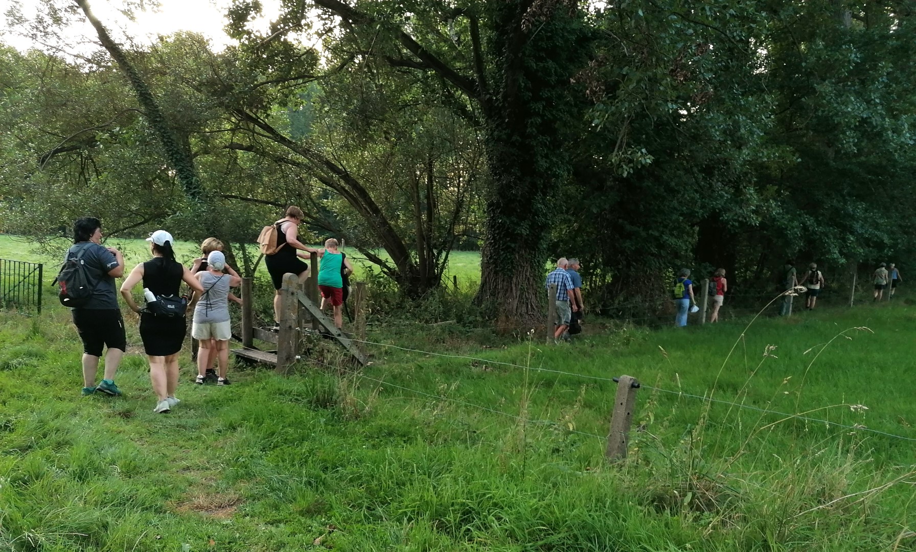 Pasar Zomert - Dokkeneboswandeling | Pasar