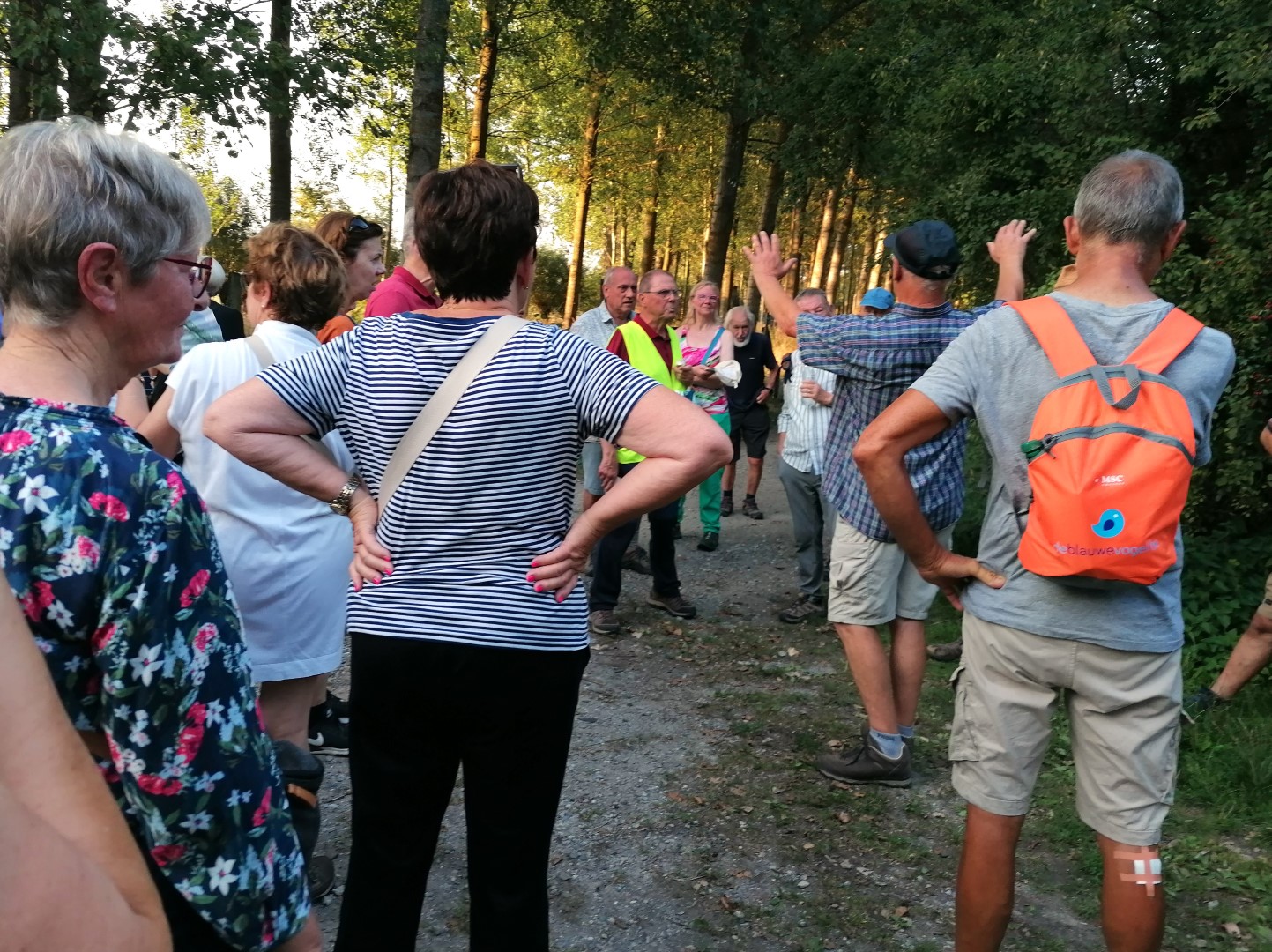 Pasar Zomert - Dokkeneboswandeling | Pasar