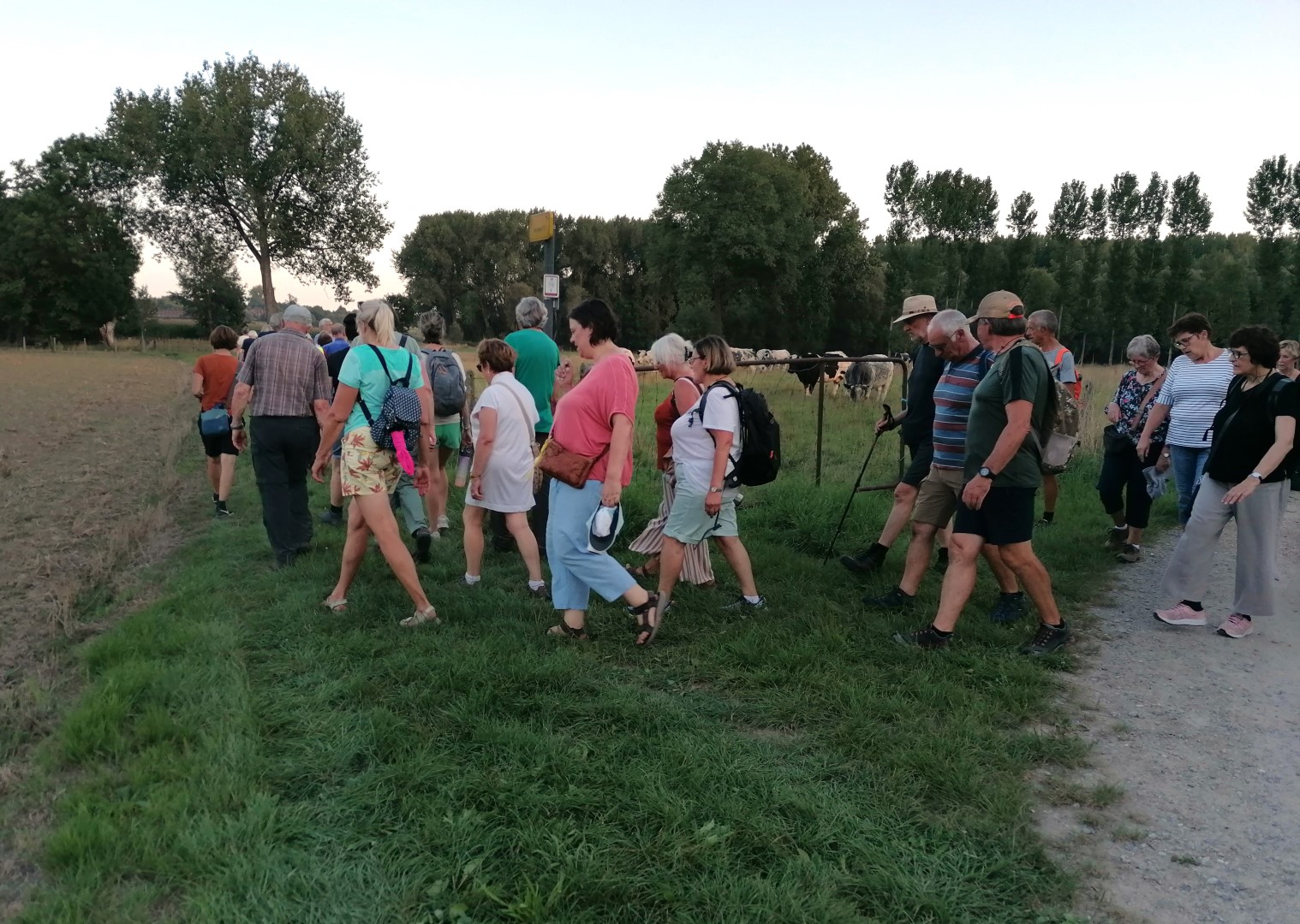 Pasar Zomert - Dokkeneboswandeling | Pasar