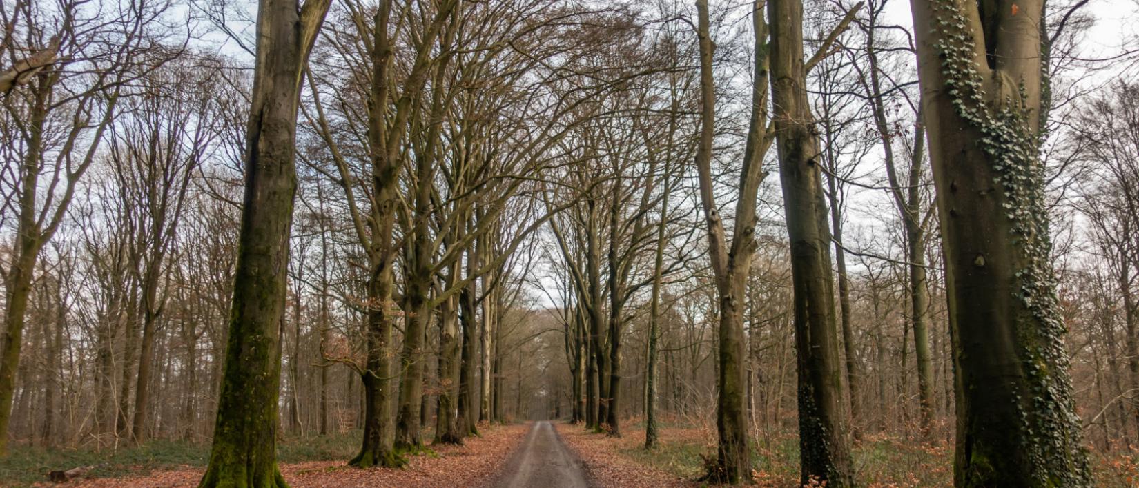 Avontuurlijke dagwandeling van Comblain-la-Tour naar Poulseur | Pasar