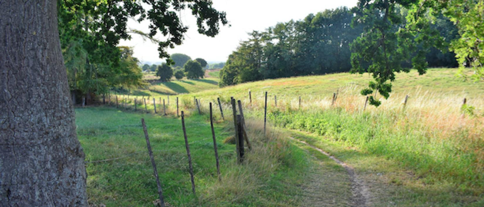 Wandelen rond Pepingen | Pasar