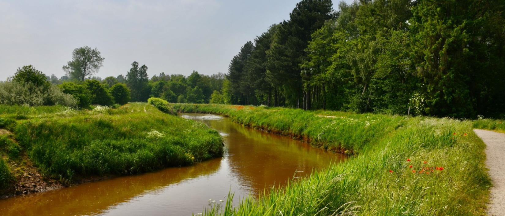 Maandagwandeling: Langs de oevers van de Nete, tussen Berlaar en Gestel ...