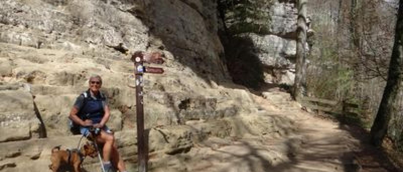 Müllerthal - Auto-pédestre wandelroute Consdorf - Mullerthal | Pasar