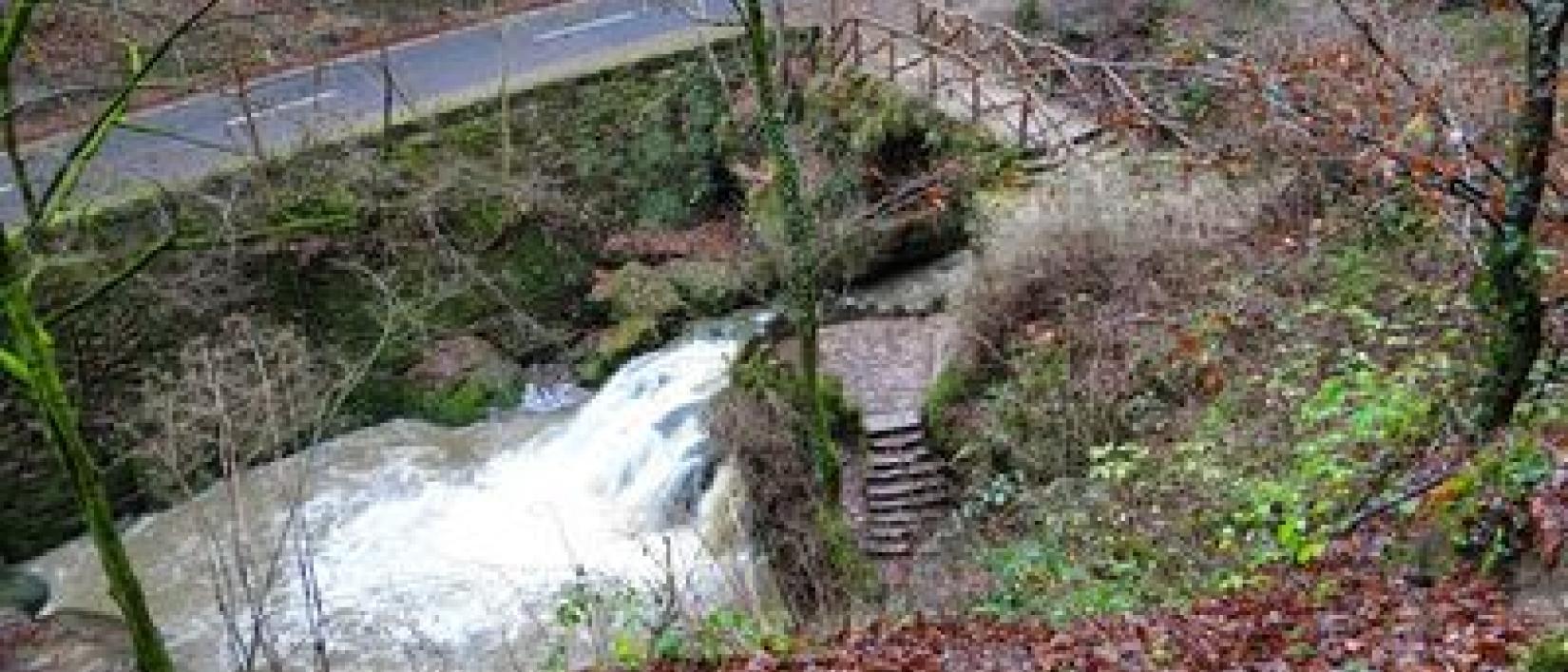 Müllerthal - Auto-pédestre wandelroute Consdorf - Mullerthal | Pasar
