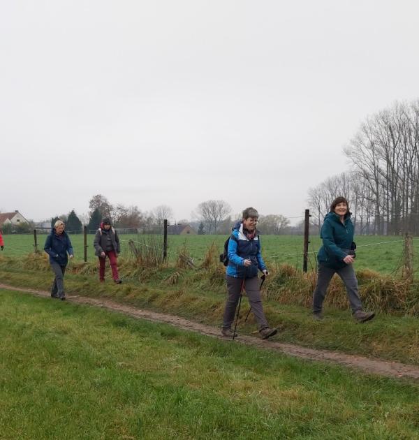 Pasar Opwijk | Pasar