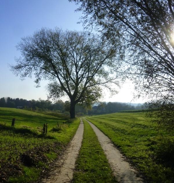 Pasar Opwijk | Pasar