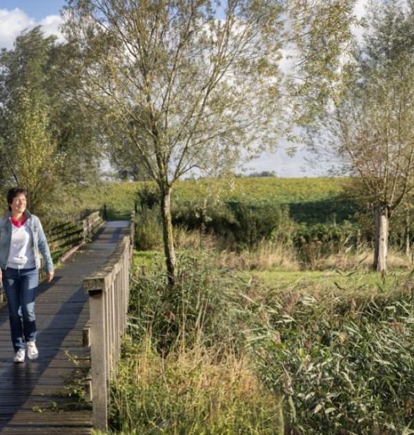 De 10 mooiste wandelingen in het Müllerthal | Pasar