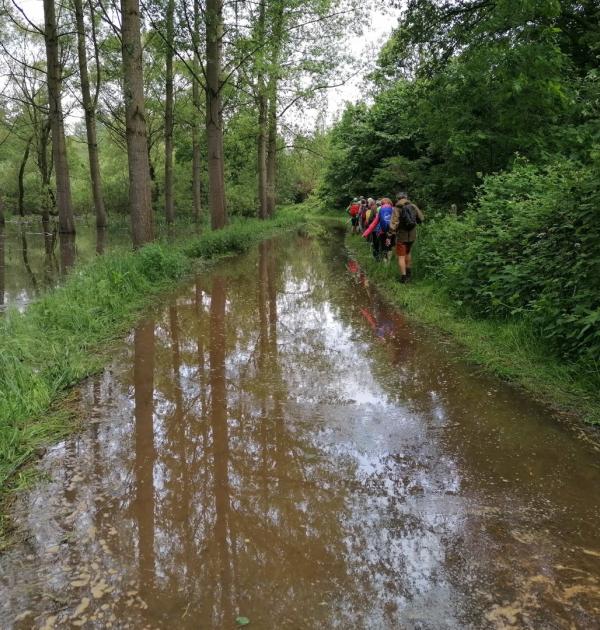 Pasar Opwijk | Pasar