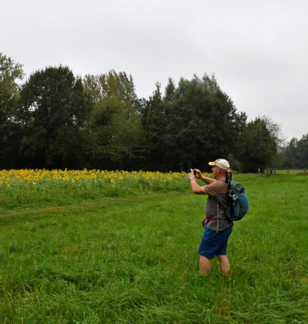 Pasar Opwijk | Pasar