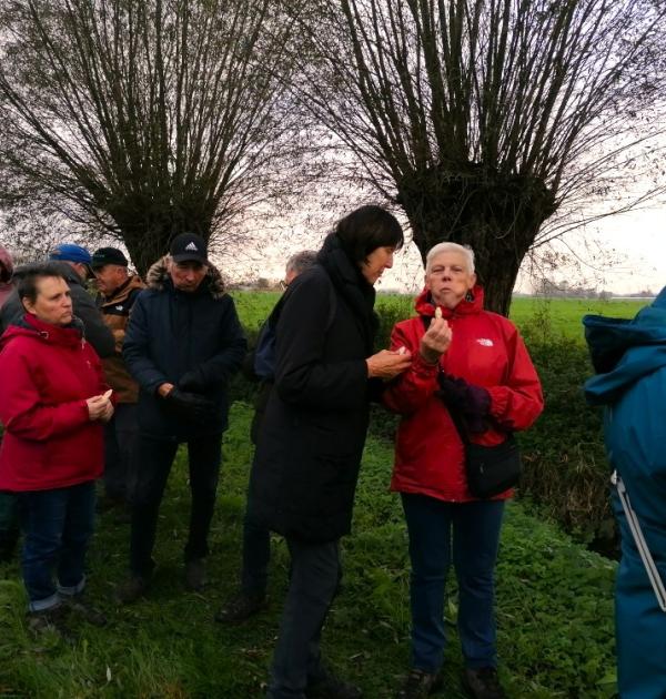 Pasar Opwijk | Pasar