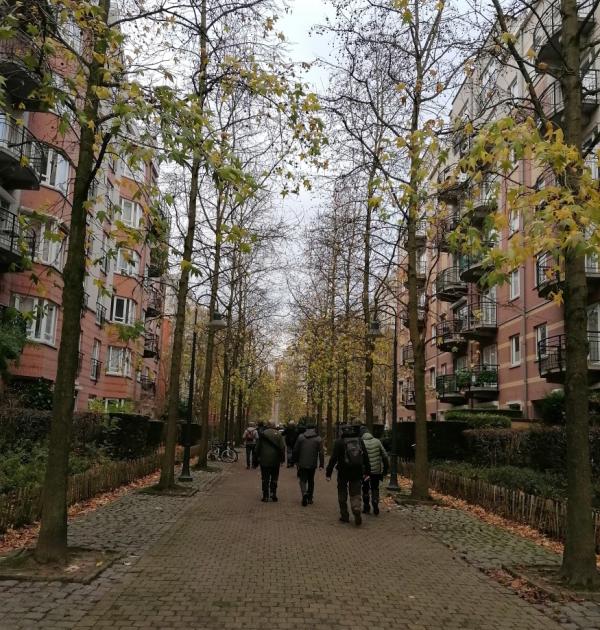 Pasar Opwijk | Pasar