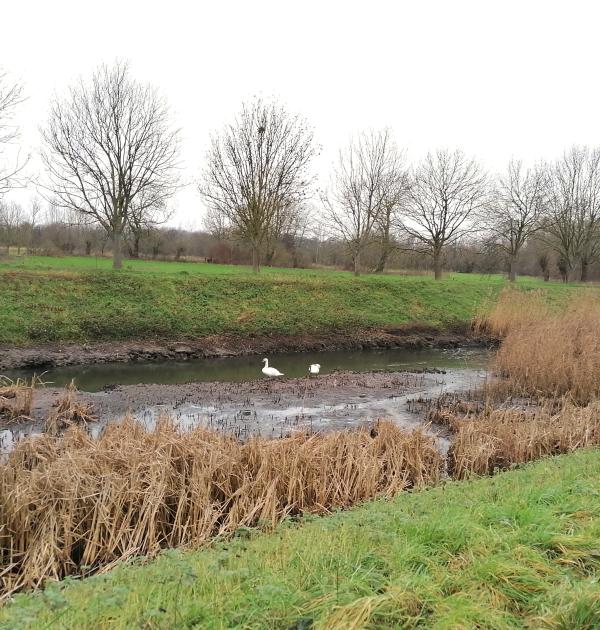 Pasar Opwijk | Pasar