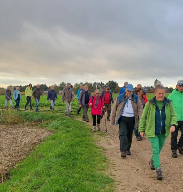 Pasar Opwijk | Pasar