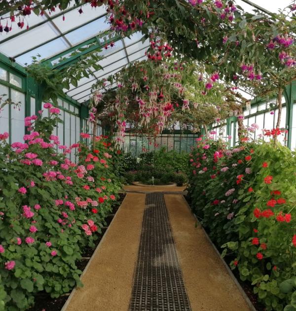 Pasar Opwijk | Pasar