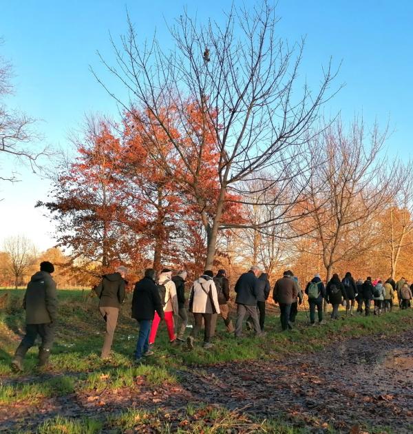 Pasar Opwijk | Pasar