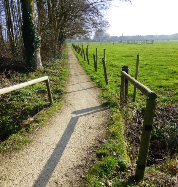 Pasar Opwijk | Pasar