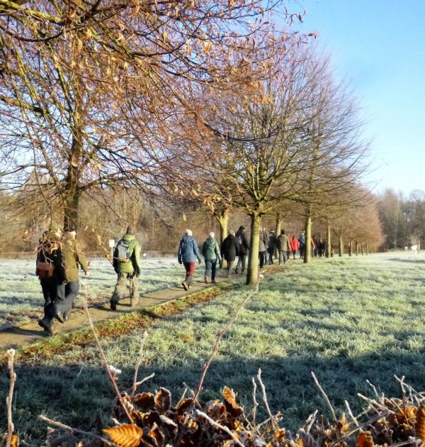 Pasar Opwijk | Pasar